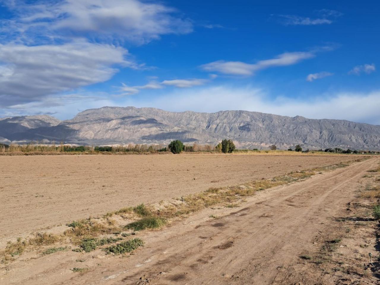 Venta. Lotes De 1 Hectárea - Comprá en San Juan