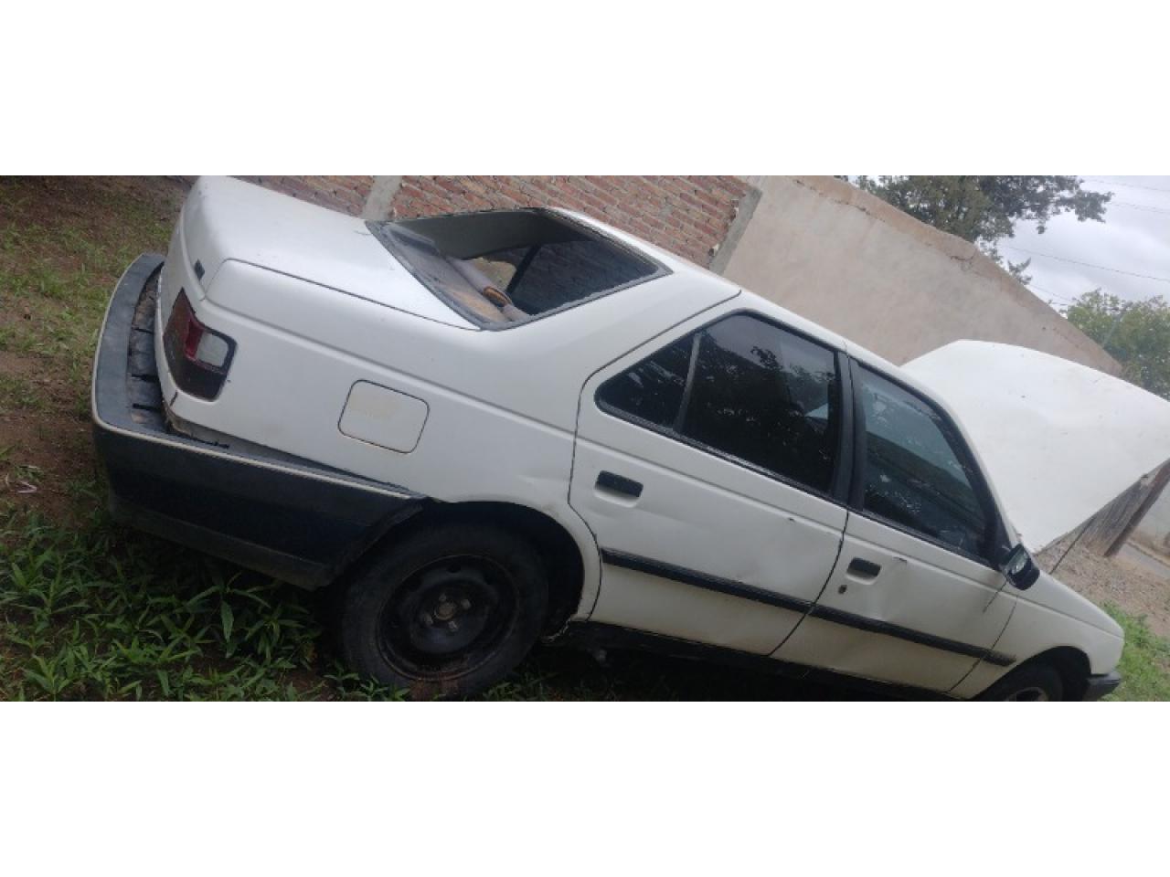 Peugeot 405 Gli Full 1.8 - Comprá en San Juan